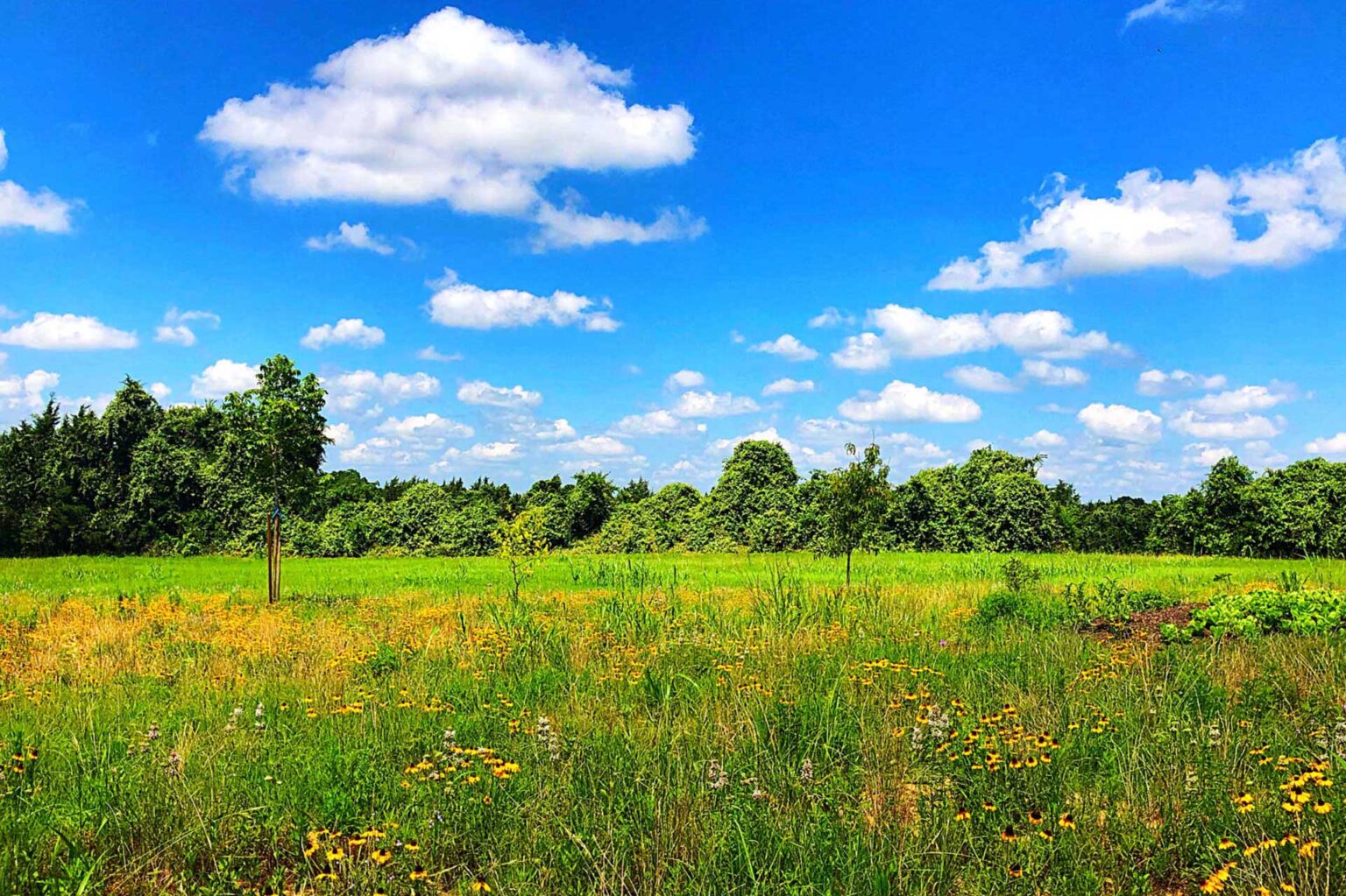 Regions - Texas Off Market Land Deals